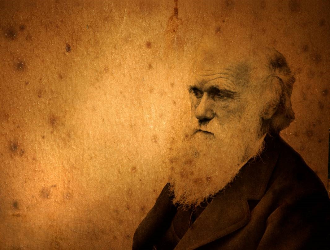 God, Darwin, and Design: Lessons from the Dover Monkey Trail ...