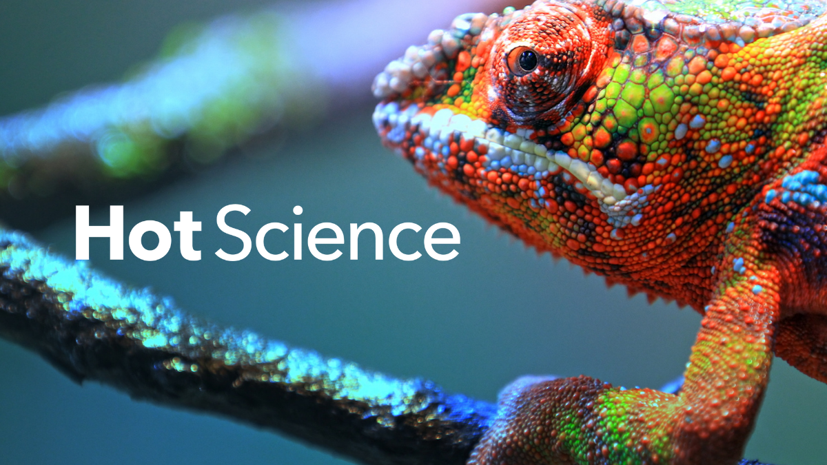 Environmental Science Institute: The University of Texas at Austin