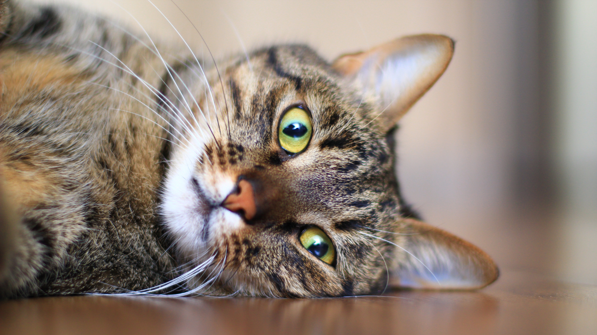 Hot Science – Cool Talks | Environmental Science Institute | Jackson ...