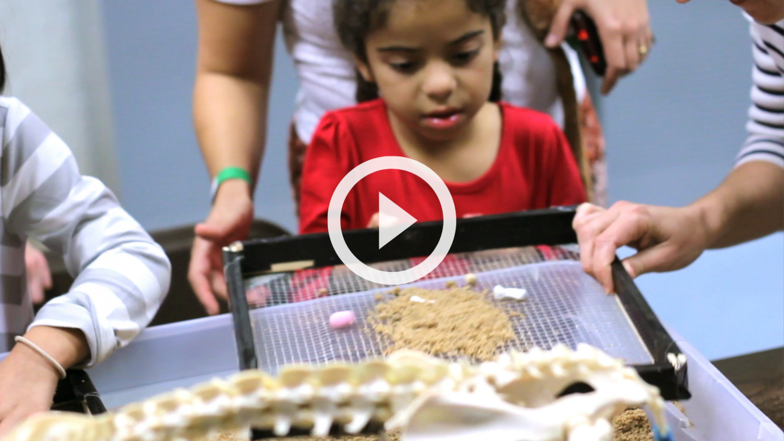 Hot Science – Cool Talks | Environmental Science Institute | Jackson ...