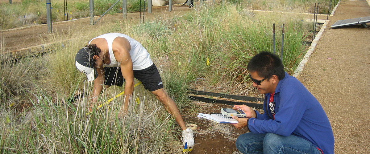 Get Involved : Environmental Science Institute: The University of Texas ...